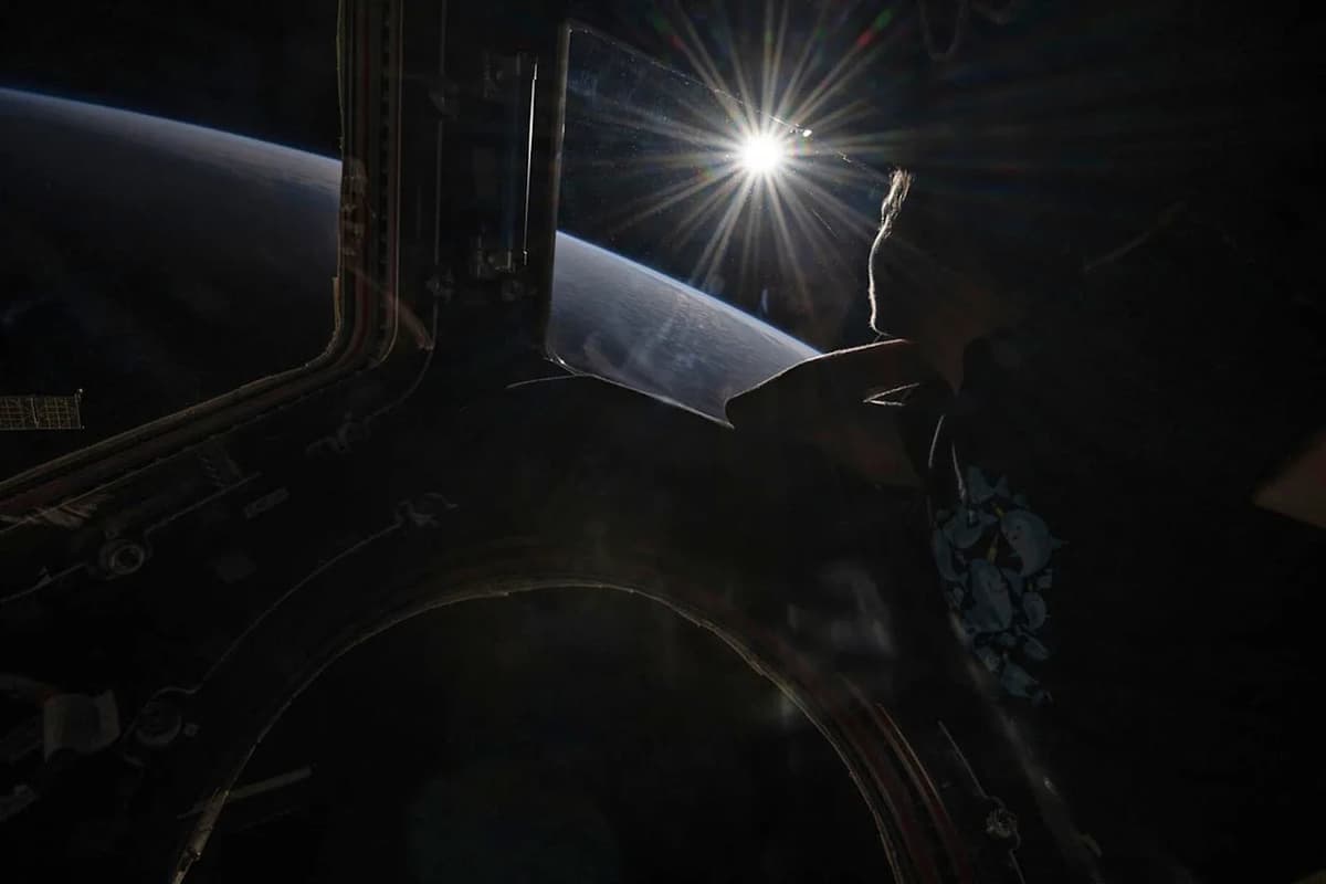 Study: Astronauts' Brains Tilt and Shift After Spaceflight ...