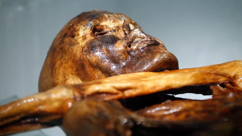 Ancient DNA Shows Ötzi and a 45,000‑Year‑Old Siberian Man Carried ...