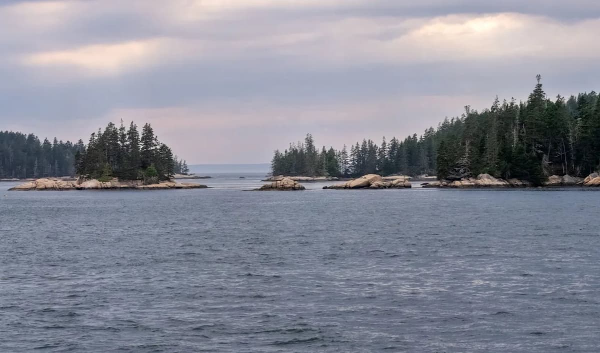 Scientists Draw Backlash Over First-of-Its-Kind Ocean Carbon ...